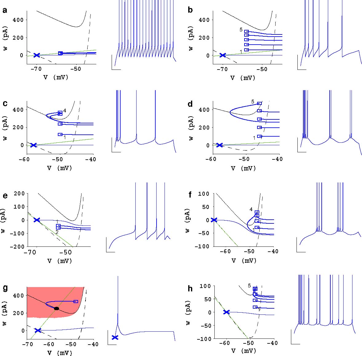 Firing patterns in the adaptive exponential integrate-and-fire model | SpringerLink