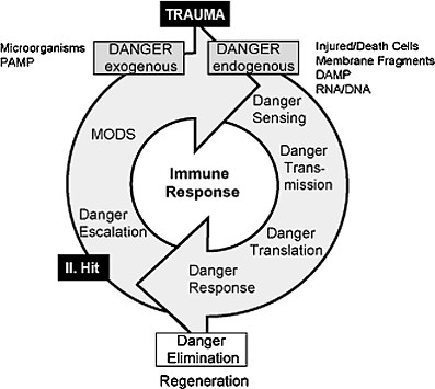 Polytrauma—pathophysiology and management principles | SpringerLink