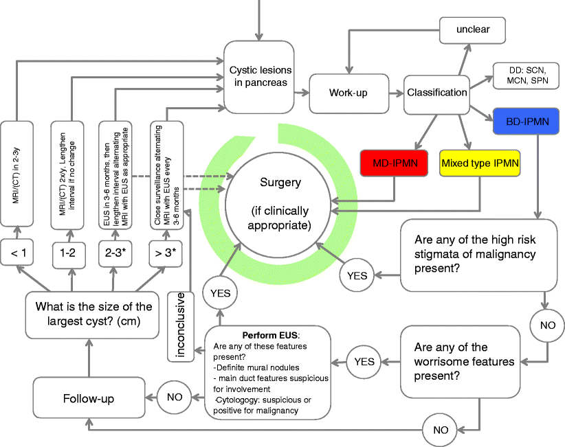 IPMN: surgical treatment | SpringerLink