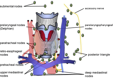 Classification of locoregional lymph nodes in medullary and papillary ...