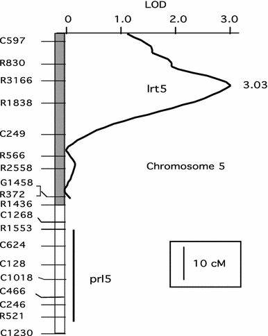 New target for rice lodging resistance and its effect in a typhoon ...