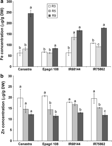 Identification of up-regulated genes in flag leaves during rice grain ...