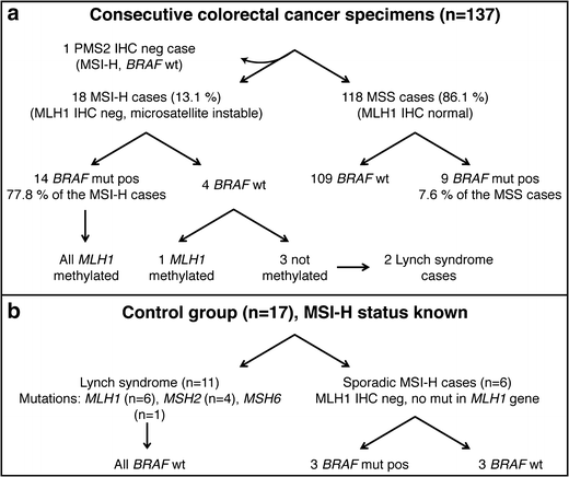 BRAF mutation in sporadic colorectal cancer and Lynch syndrome ...