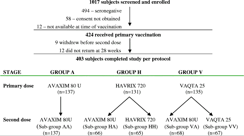 Interchangeability of a hepatitis A vaccine second dose: Avaxim 80 ...