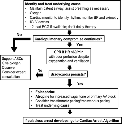 Evaluation and management of bradycardia in neonates and children ...
