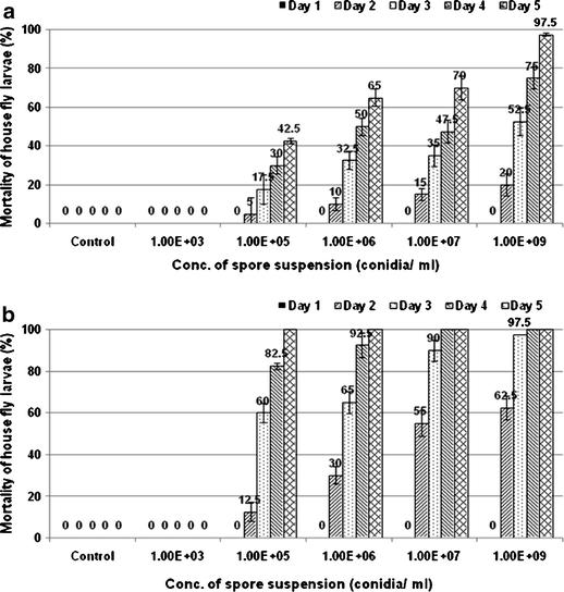 Adulticidal and larvicidal activity of Beauveria bassiana and ...