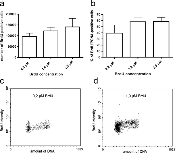 The dark side of BrdU in neural stem cell biology: detrimental effects ...