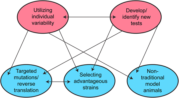 Rodent models for mania: practical approaches | SpringerLink
