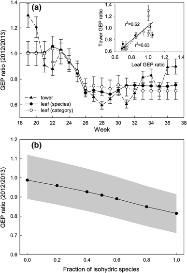 The role of isohydric and anisohydric species in determining ecosystem ...