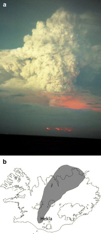 The millennium eruption of Hekla in February 2000 | SpringerLink