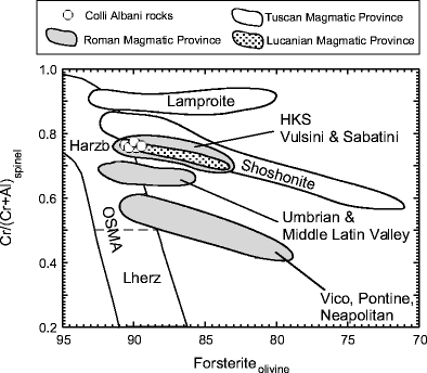 Isotope geochemistry (Sr–Nd–Pb) and petrogenesis of leucite-bearing ...