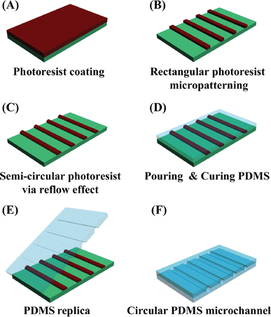 Fabrication of a circular PDMS microchannel for constructing a three ...