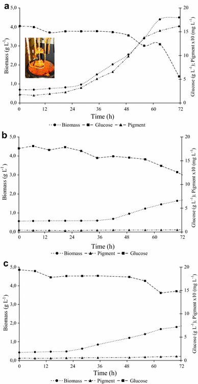 Kinetic of orange pigment production from Monascus ruber on submerged ...