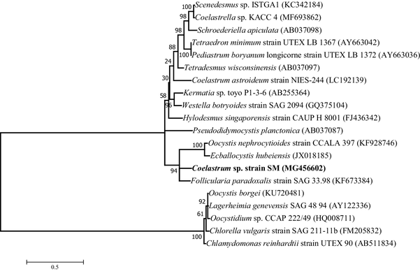 Cultivation of newly isolated microalgae Coelastrum sp. in wastewater for simultaneous CO2 ...