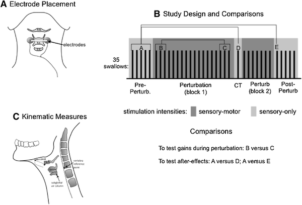 Human Hyolaryngeal Movements Show Adaptive Motor Learning During ...