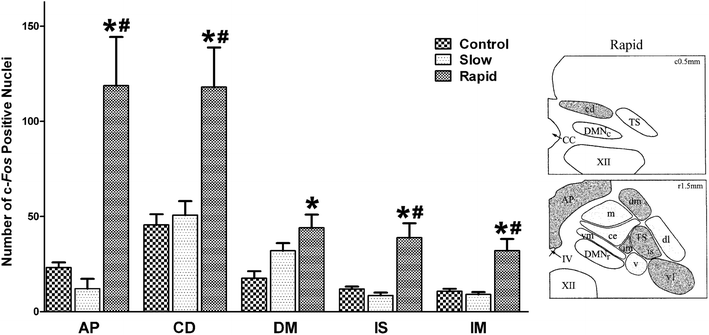 The Physiology of Eructation | SpringerLink