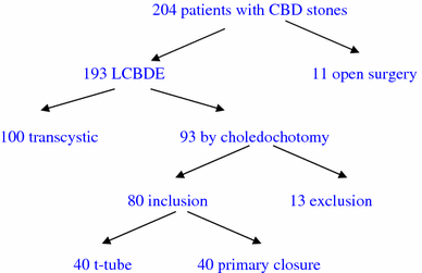 A randomized comparison of primary closure and T-tube drainage of the ...