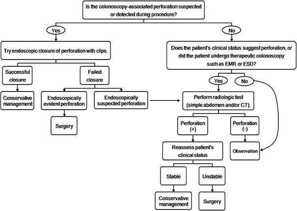 Is endoscopic closure with clips effective for both diagnostic and ...