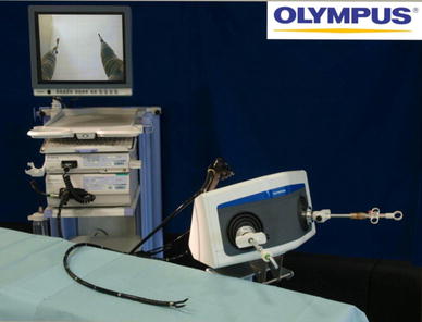 Transgastric small bowel resection with the new multitasking platform ...