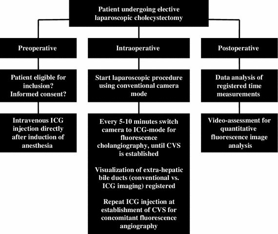 Combined vascular and biliary fluorescence imaging in laparoscopic ...