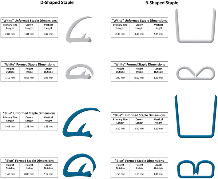 Beyond the “B”: a new concept of the surgical staple enabling miniature ...