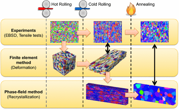 Combined crystal plasticity and phase-field method for recrystallization in a process chain of ...