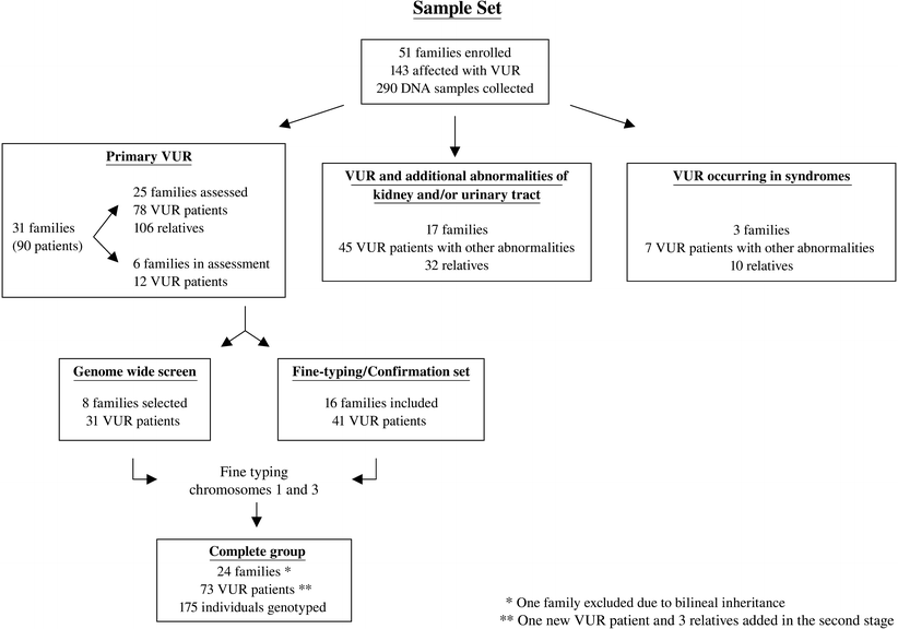 A genome search for primary vesicoureteral reflux shows further ...