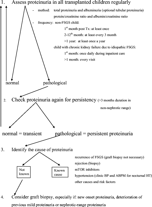 Management of proteinuria in the transplanted patient | SpringerLink