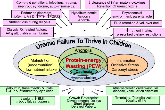 Protein-energy wasting and uremic failure to thrive in children with ...