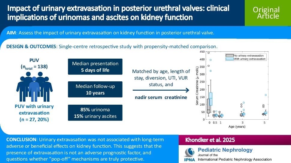 Ascites | Impact of urinary extravasation in posterior urethral valves ...