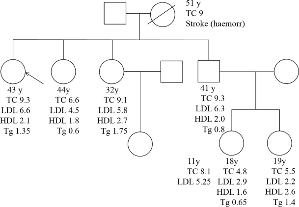 Genetic testing of familial hypercholesterolemia in a real clinical ...