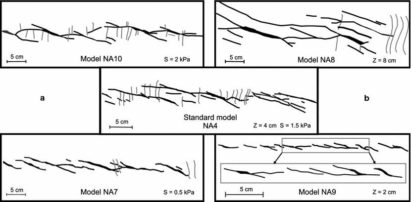 Initiation and development of pull-apart basins with Riedel shear mechanism: insights from ...