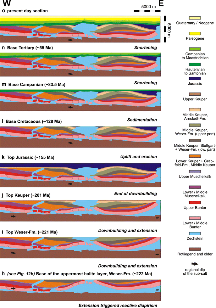 Multiphase salt tectonic evolution in NW Germany: seismic ...