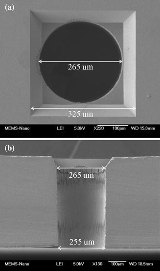 A MEMS guide plate for a high temperature testing of a wafer level ...