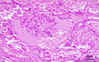 Pathological and biochemical studies on enterotoxemia in sheep ...