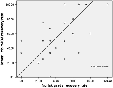 Comparison of Nurick grading system and modified Japanese Orthopaedic ...