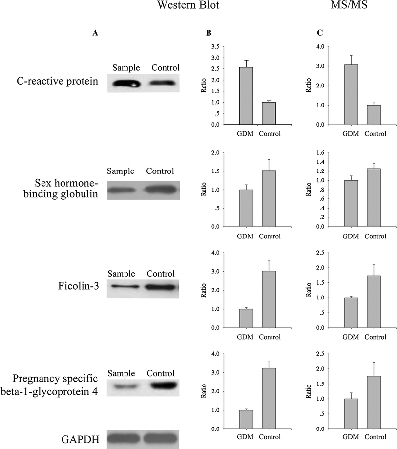 Early second-trimester plasma protein profiling using multiplexed ...