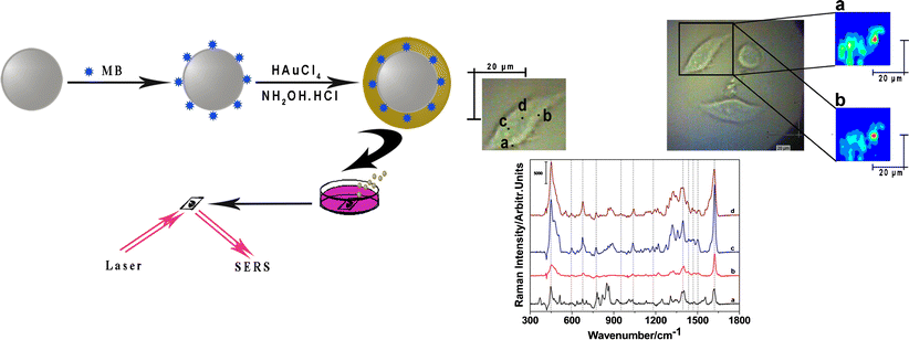Silver–gold core-shell nanoparticles containing methylene blue as SERS ...
