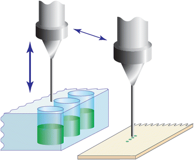 Integration of lateral flow and microarray technologies for multiplex immunoassay: application ...