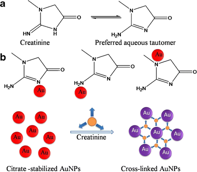 Gold nanoparticles-based colorimetric and visual creatinine assay ...
