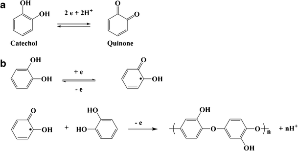 A printed SWCNT electrode modified with polycatechol and lysozyme for ...