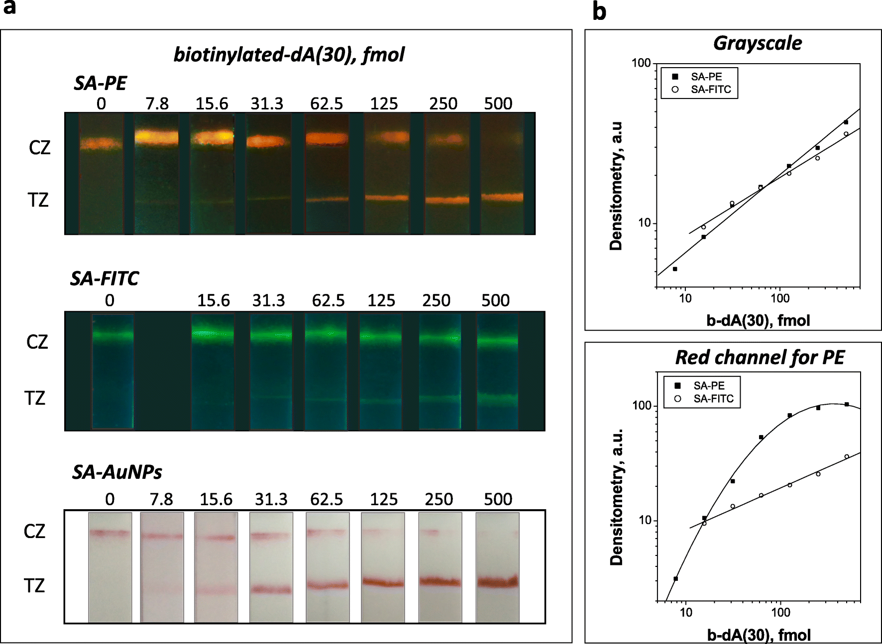 A fluorometric lateral flow assay for visual detection of nucleic acids ...