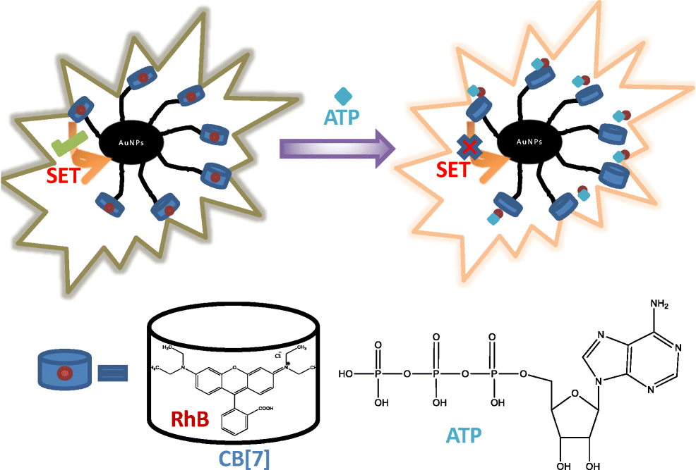 Nanosensing of ATP by fluorescence recovery after surface energy ...