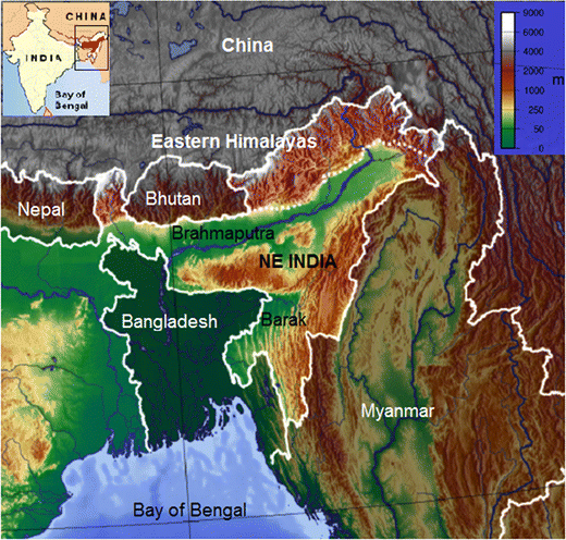 Trends and fluctuations of rainfall regime in the Brahmaputra and Barak ...
