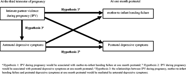 Associations between intimate partner violence (IPV) during pregnancy ...
