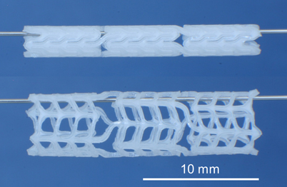 Biodegradable polymeric stents for vascular application in a porcine ...