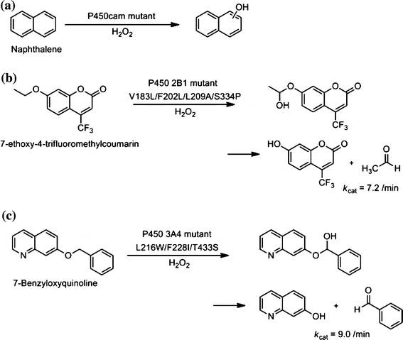Peroxygenase reactions catalyzed by cytochromes P450 | SpringerLink