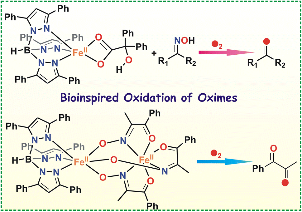 Bioinspired oxidation of oximes to nitric oxide with dioxygen by a ...