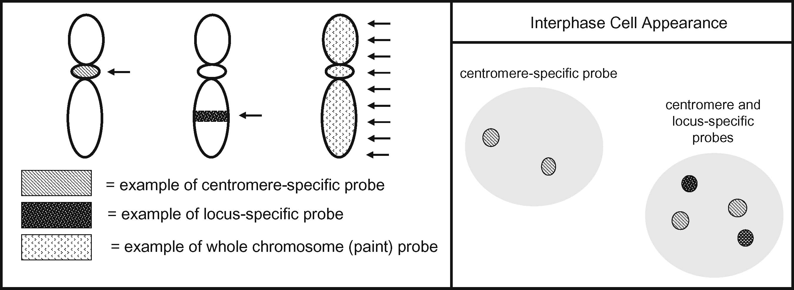 Advantages and limitations of cytogenetic, molecular cytogenetic, and ...