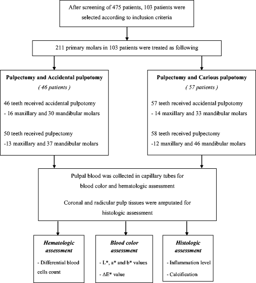 Pulp bleeding color is an indicator of clinical and histohematologic ...